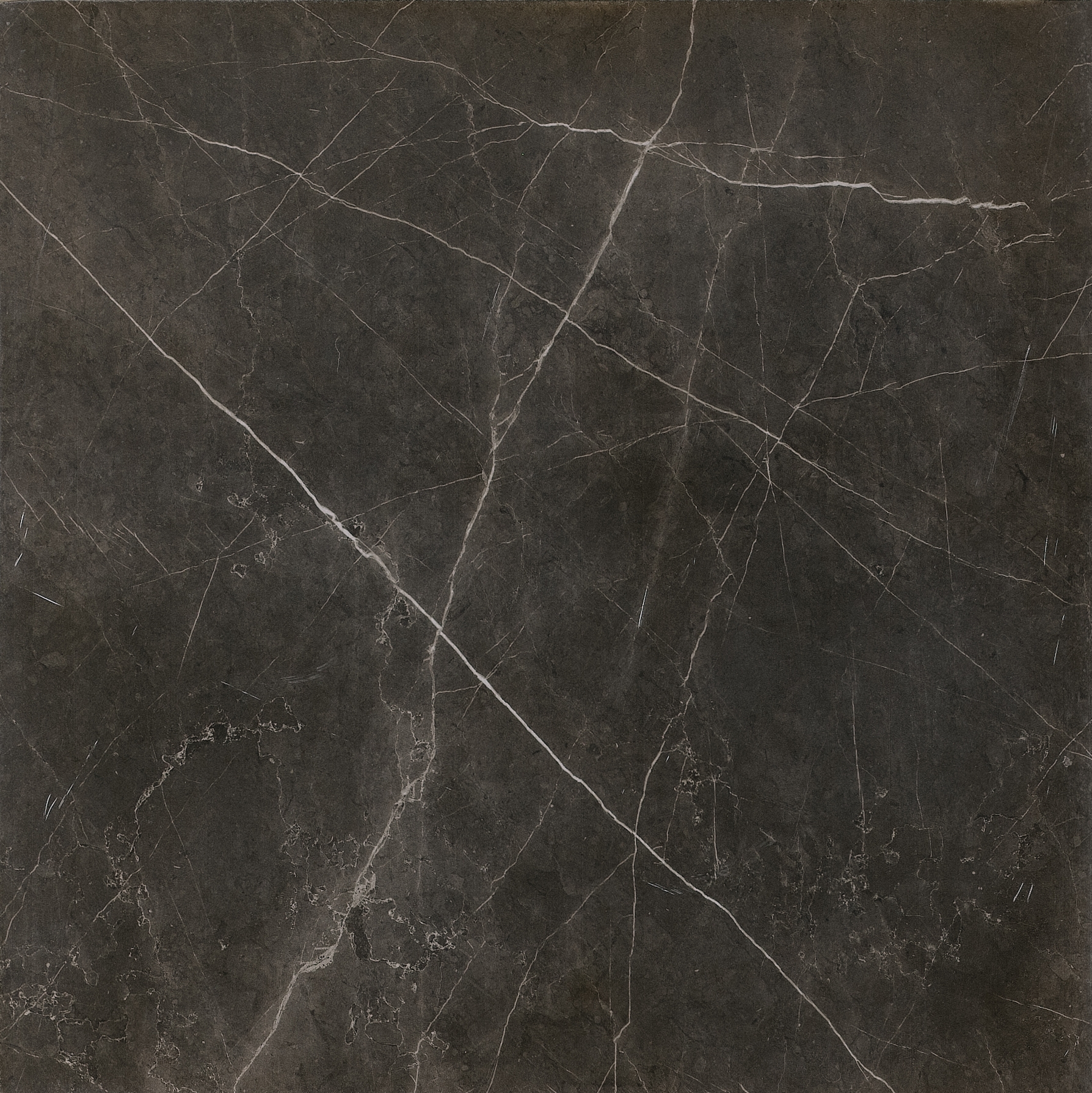 Anima Graphite | Caesar Ceramics