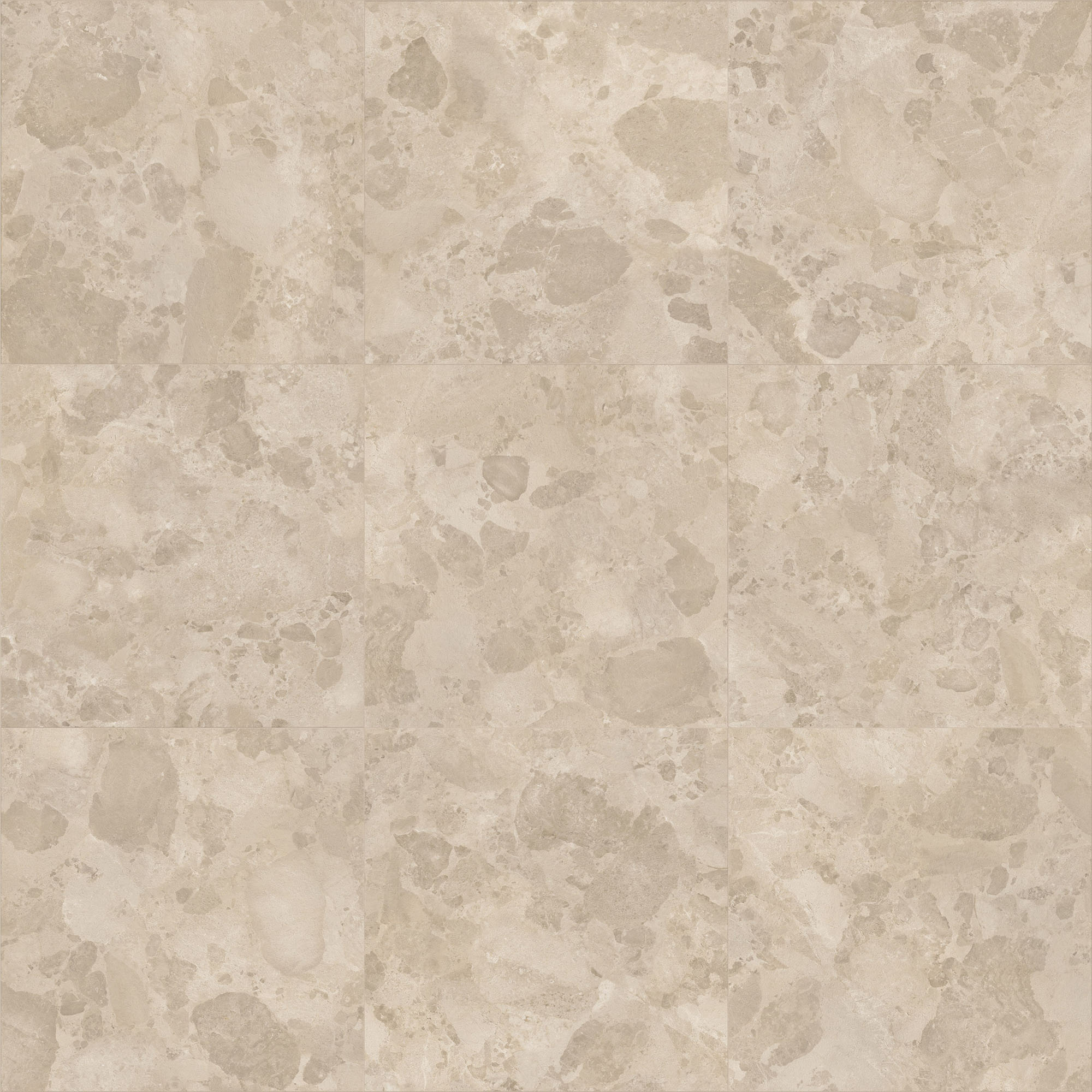 Shell | Caesar Ceramics