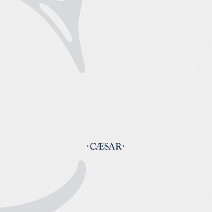 Book&Go Ceramics | Ceramiche Caesar